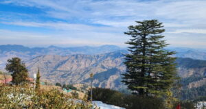 Theog, Himachal Pradesh [2026] – Travel Guide