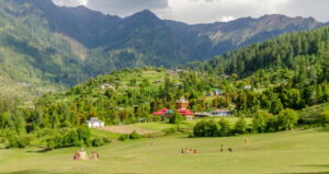 Shangarh, Himachal Pradesh | Things to Do in Shangarh